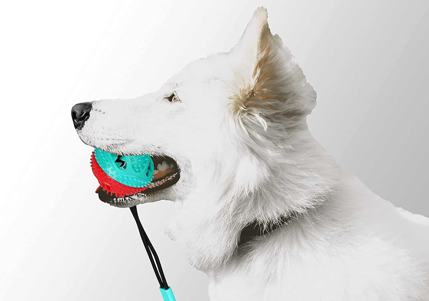 Köteles fogtisztító labda - PuppyLove